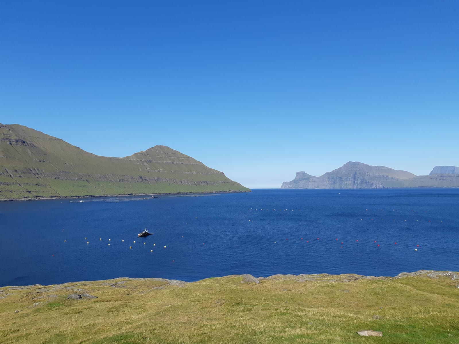 SeaMark has lift off! – SeaMark