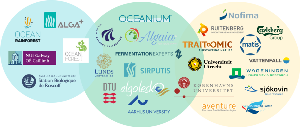 Partners – SeaMark