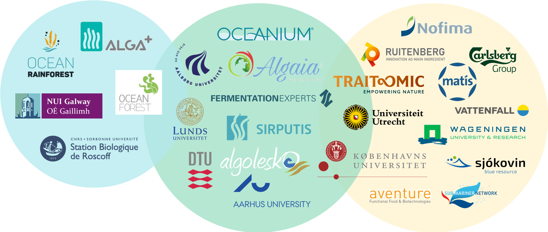 Partners – SeaMark